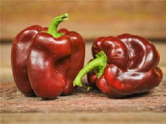 Babura “ Čokoladana Lepotica „ – Stare sorte semena