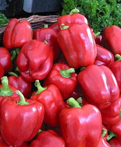 Paprika “ Narandžasto Uvo „ – Stare sorte semena