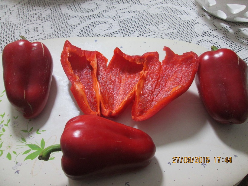 Paprika “ Somborka „ – Stare sorte semena
