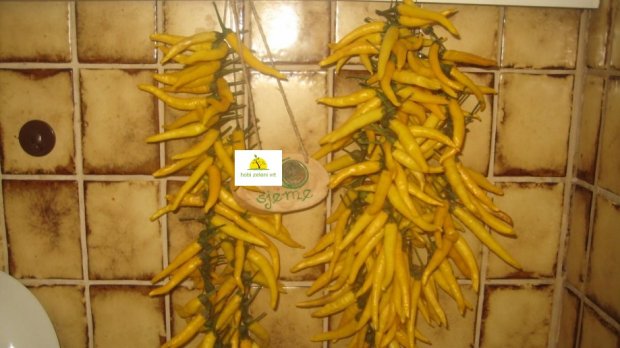 Žuti Feferon – Stare sorte semena